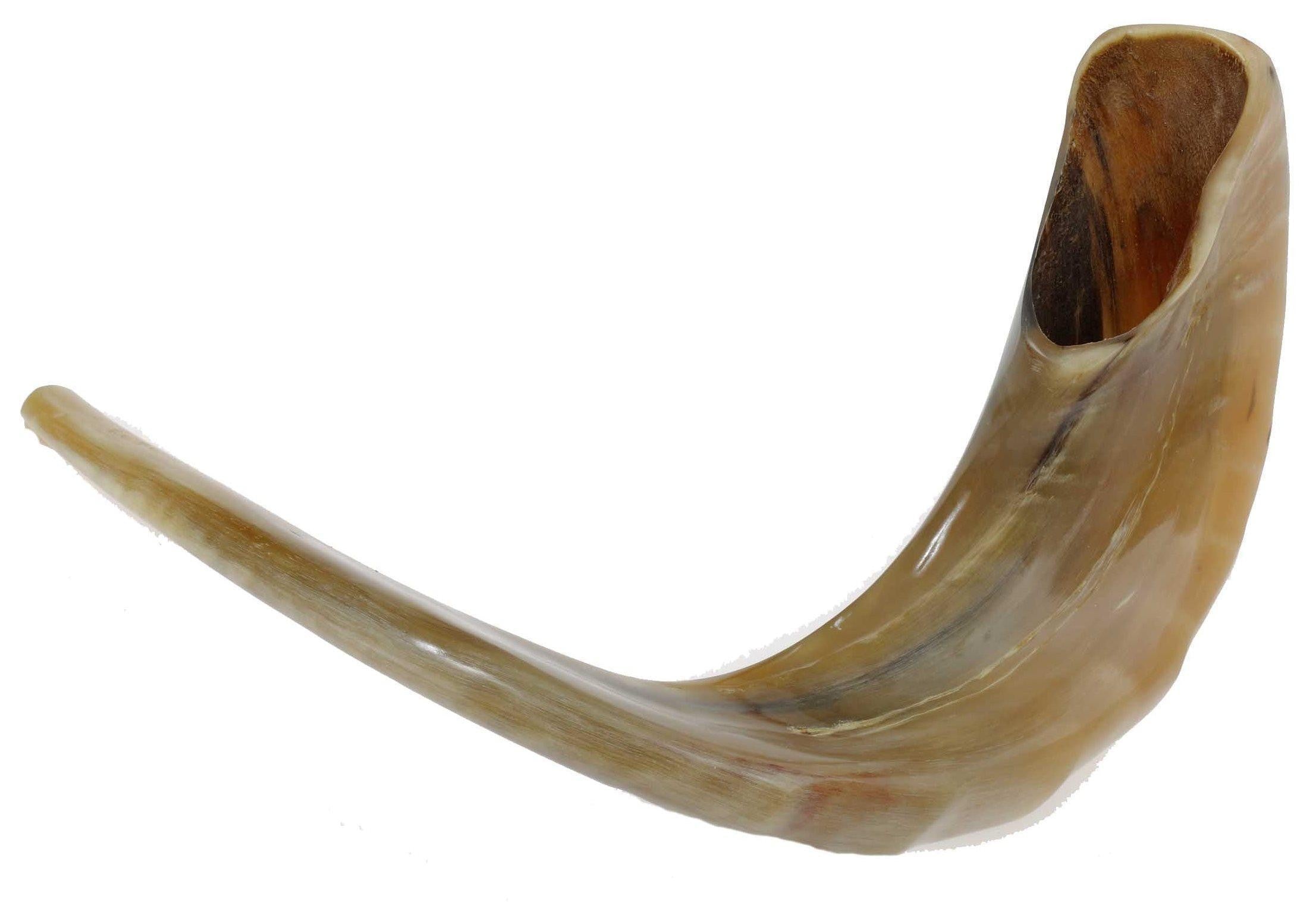 Shofar in Natural Colour – Contemporary Judaica